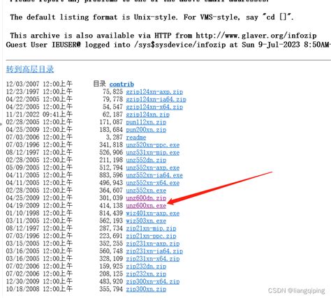 Unzip解压文件中文乱码问题的解决方案 Window系统下 Vscodeunzip Windows Csdn博客