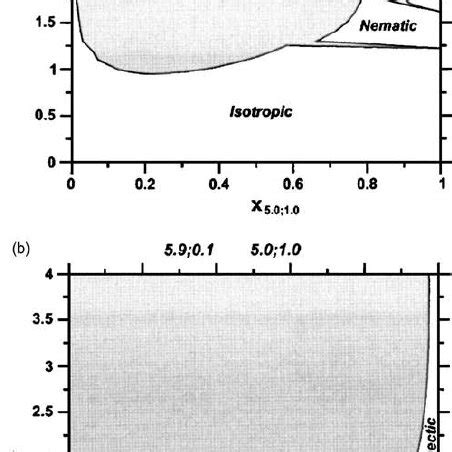 Phase Diagram Of The Binary Mixture With L D L