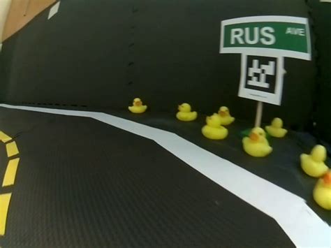 Duckietown Roboflow Universe