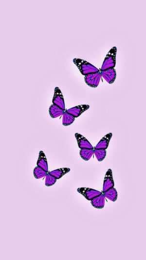 Purple Butterfly Wallpaper Ixpap