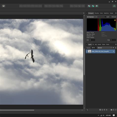 histogram won t show levels of marquee selected areas v2 bugs found