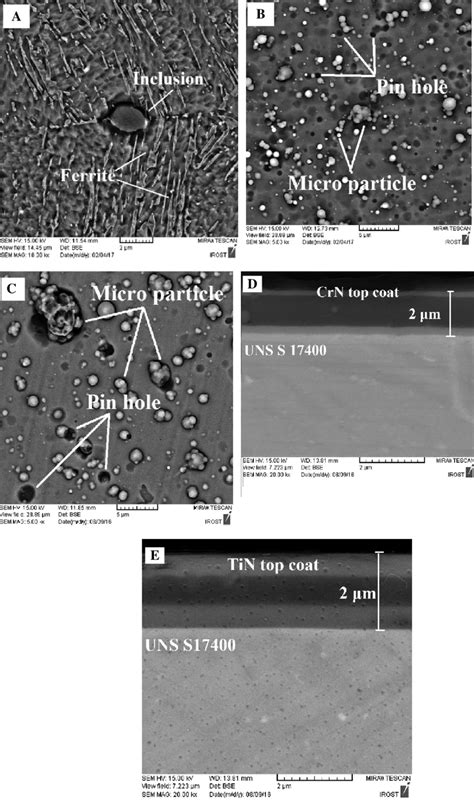 Sem Micrographs Of Surface And Cross Sections Of Pvd Coated Uns S17400