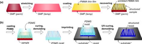 Overview Of The Fabrication And Replication Routes Of Disordered Download Scientific Diagram