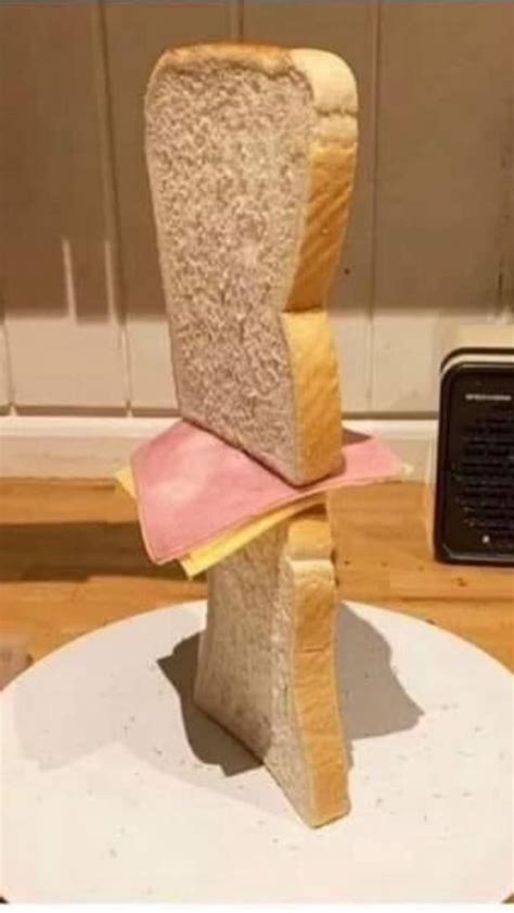 my software built using tdd r programmerhumor