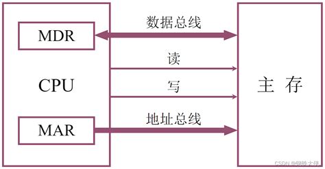 计算机组成原理——主存储器 Csdn博客