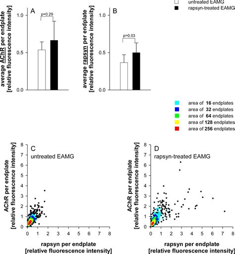 Overexpression Of Rapsyn In Rat Muscle Increases Acetylcholine Receptor