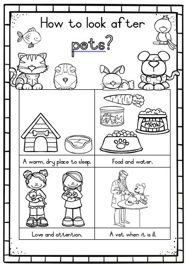 Life Skills Worksheets PDF Printable Activities For Personal Development