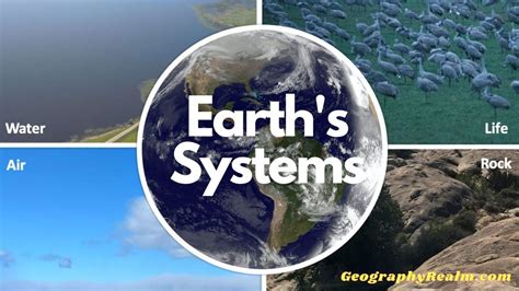 Science Module 3 Ch 2 Review 5th Grade Flashcard Wayground