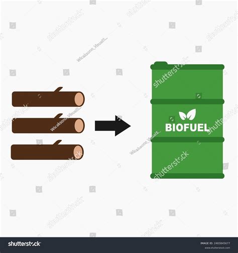 Cellulose Biofuel Illustration White Background Education Stock Vector