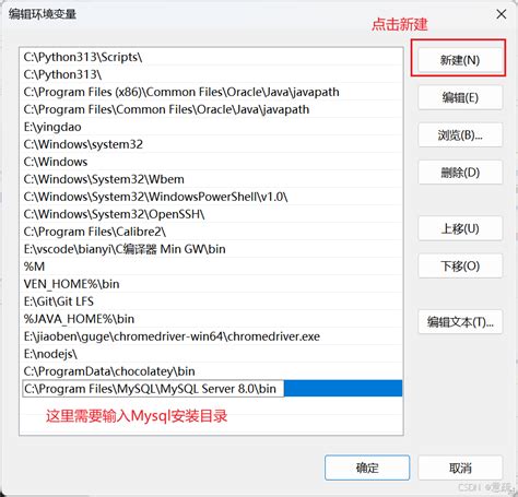 从下载到运行：mysql 详细安装配置完整教程