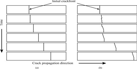 Interlaminar Crack Propagation In Bamboo A Rl Configuration With Download Scientific Diagram