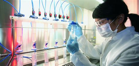 Bioinformatics Internship Best Industrial Online And In Class With Publication