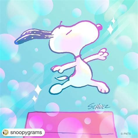 Steven Walsh On Instagram Repost Snoopygrams With Get Repost ・・・ Leaping Into The Weekend