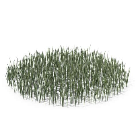 Medium Coarse Round Grass Patch 3d Object 2299330339 Shutterstock