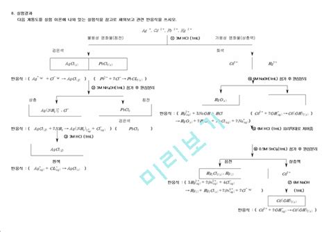 자연과학 화학 및 실험 미지시료의 양이온의 정성분석물리화학실험과제