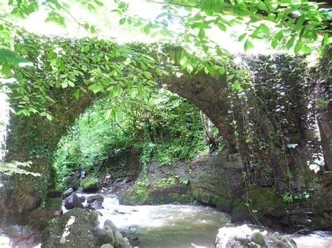 ღირსშესანიშნაობები Visitajara