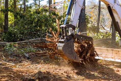 Stump Grinding