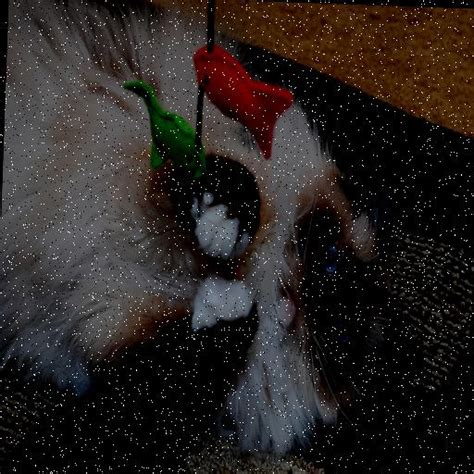 Pascal Voc 2012 Object Detection Model V13 2024 05 23 508pm By Pascal