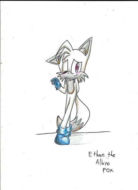 Ethan The Albino Fox By Sonicandsora25 On Deviantart