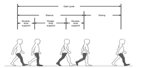 The Use Of Spatiotemporal Gait Analysis In Diagnosing Pathologies A Review Biores Scientia