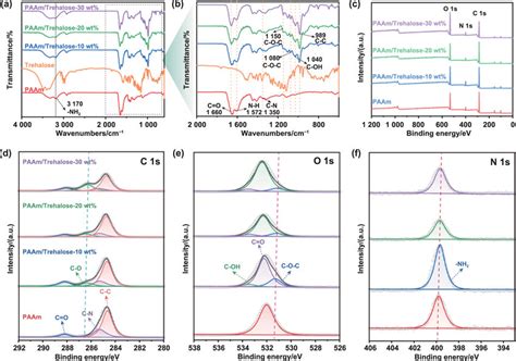 Structure Characterization Of Paam And Trehalose Modified Paam Download Scientific Diagram