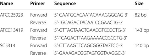 Primers For Real Time Fluorescence Quantitative Pcr Download Scientific Diagram