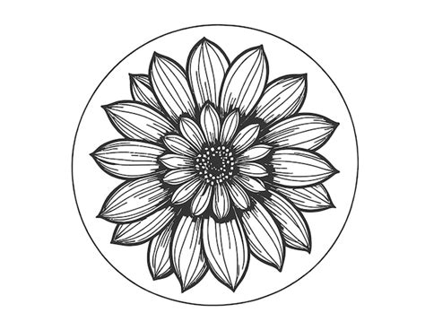 Premium Vector Illustration Line Art Flower Circular Pattern