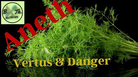 Aneth Vertus Et Bienfaits De Laneth Comment Utiliser Laneth Bectherapy Youtube