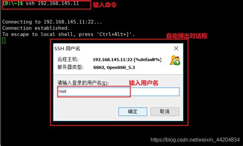 Xshell创建连接和基本指令xshell在目录下创建连接 Csdn博客