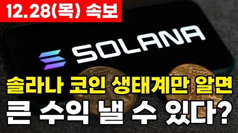 솔라나 코인 전망 솔라나로 3주만에 25만 수익률 실제 사례 Youtube