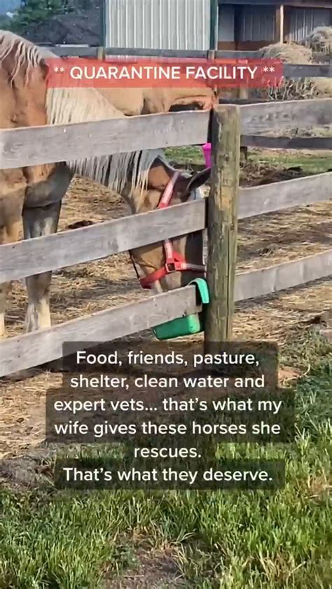 I Love Watching My Wife Follow Her Dreams Every Day Ohkaytacos