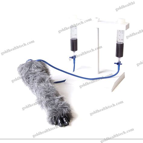 Durable Intravenous Injection Simulator Sale Or Rent Near Me Gold Durable Intravenous Injection Simulator Sale Or Rent Near Me Gold