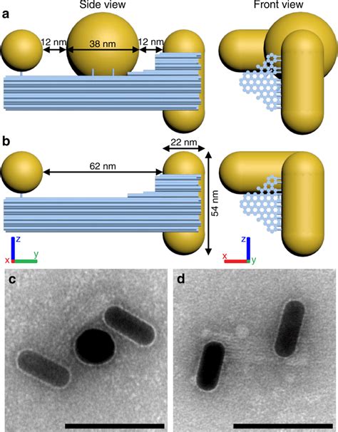 Chiral Plasmonic Transmitter A Side View And Front View Of Dna Download Scientific Diagram