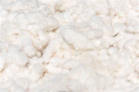 Wattebausch Bilder Und Stockfotos Istock