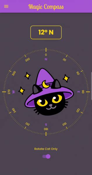 Magic Compass Alli Colyer
