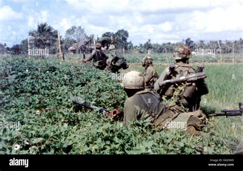Vietnam War American Soldiers Color