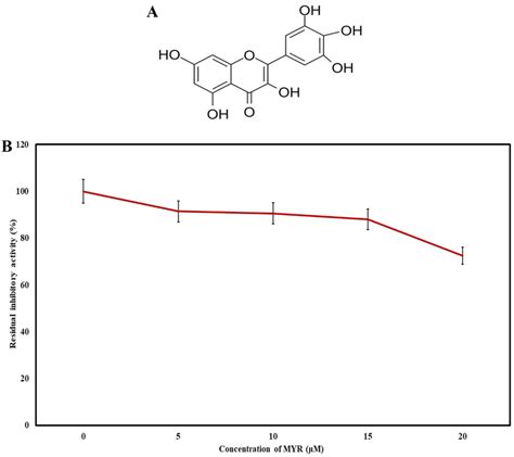 A Molecular Structure Of Myr B Effect Of Increasing Concentration Of