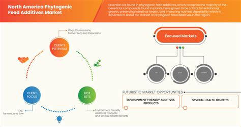 North America Phytogenic Feed Additives Market Size And Trends By 2030
