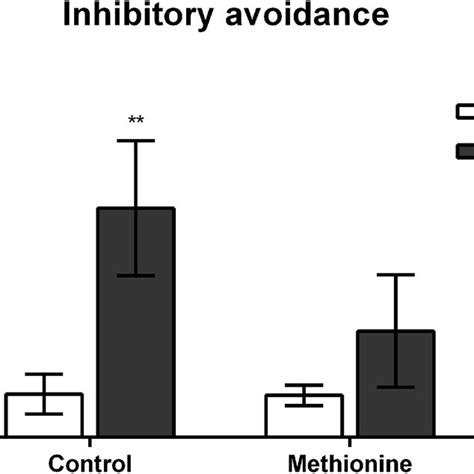 Inhibitory Avoidance Task Performance On Training And Long Term Memory