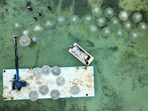 Reef Design Lab Crafts Erosion Mitigation Units From Recycled Oyster Shells
