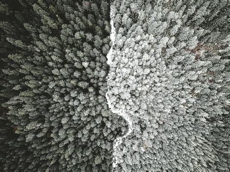 Clustering Con Dbscan Y Hdbscan Con Python Y Sus Hiperparámetros En