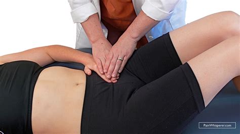 PainWhisperer Com Trigger Point Therapy For Pelvic Pain