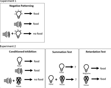 When Is The Rat Retrosplenial Cortex Required For Stimulus Integration