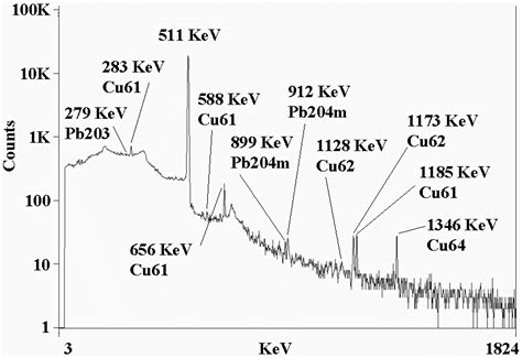 Example Gamma Ray Spectrum From The Nuclear Activation Measurements Download Scientific