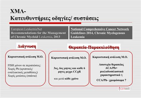 Chronic Myeloid Leukemia CML Cytogenetic Diagnosis And Follow Up PPT