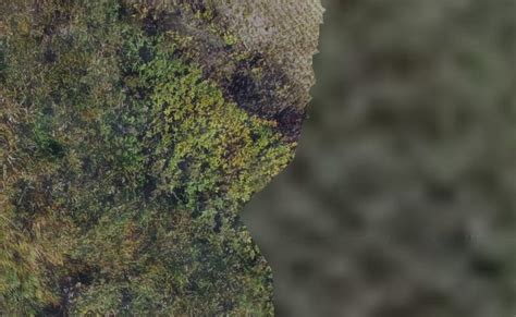 Resolution Comparison Between Uav Orthophoto And Satellite Imagery