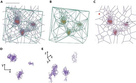 Voronoi Diagrams And Delaunay Triangulation A C A And C Voronoi