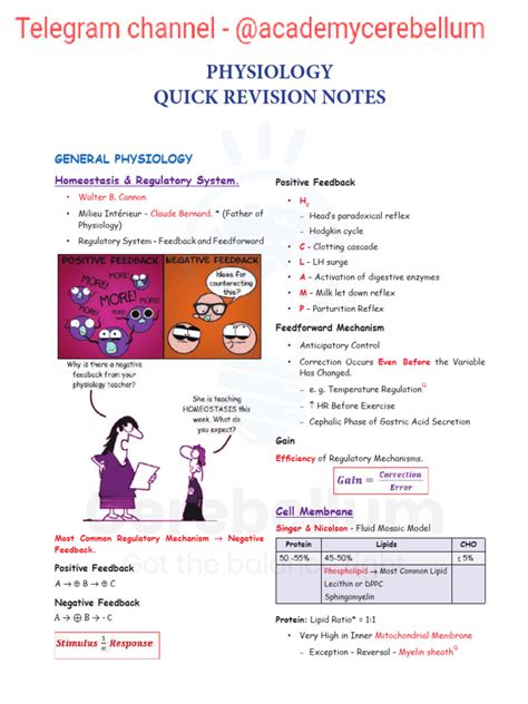 Physio Rr Cerebellum Pdf