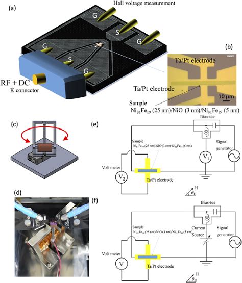 A Schematic Of The Sample Geometry Including Ground Signal Ground Download Scientific Diagram