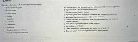 Answered Question 1 Match The Cell Structure With It S Correct Kunduz